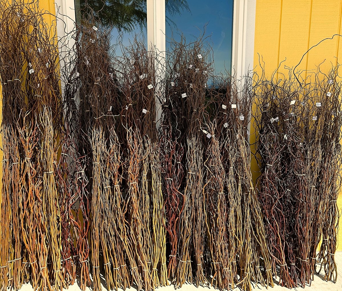 Basketry & Decorative Willow Bundles – Dingdong's Garden